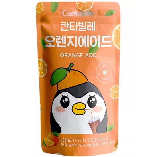 Cantabile Orange Flavored Ade 230ml – Eumyang